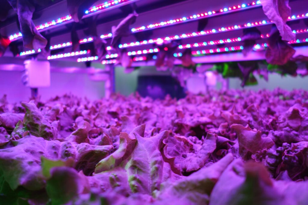 Horticulture Lighting - Indoor & Outdoor Architectural Lighting Solutions